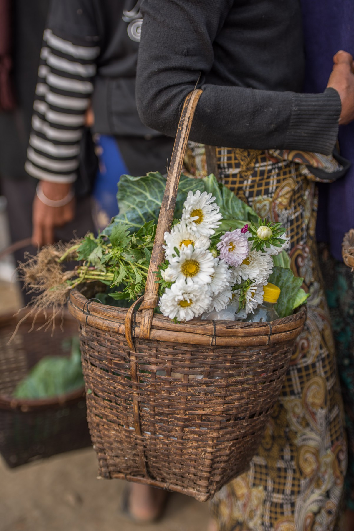 Le panier fleuri. - Photospicy.com