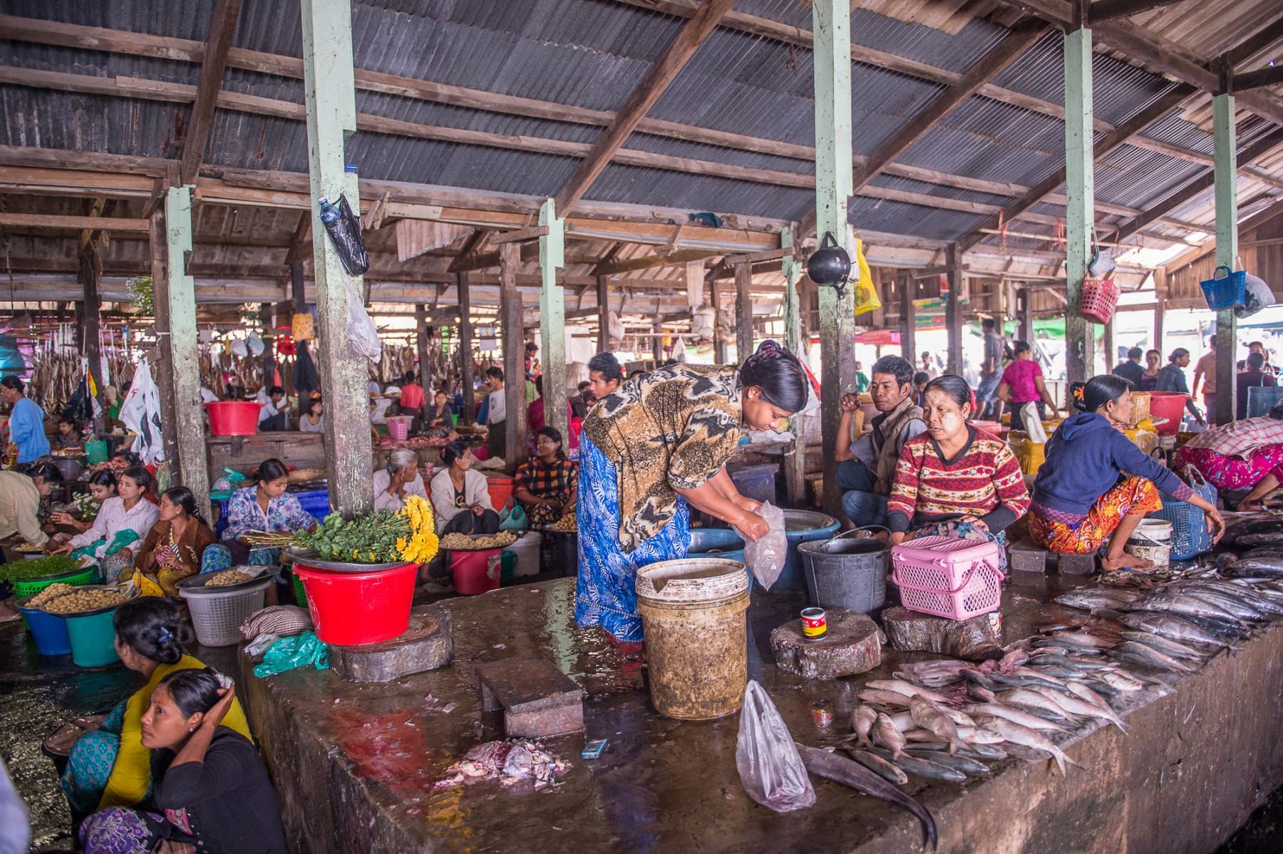 Le marché de poisson couvert. - Photospicy.com